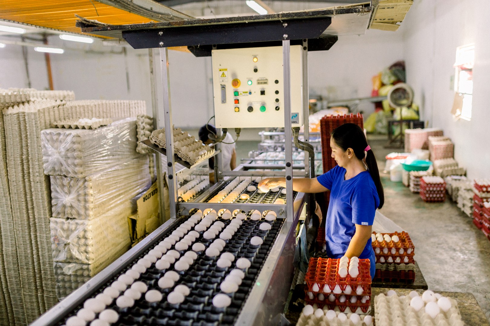 Agricultural Ventures – Venvi Group of Companies